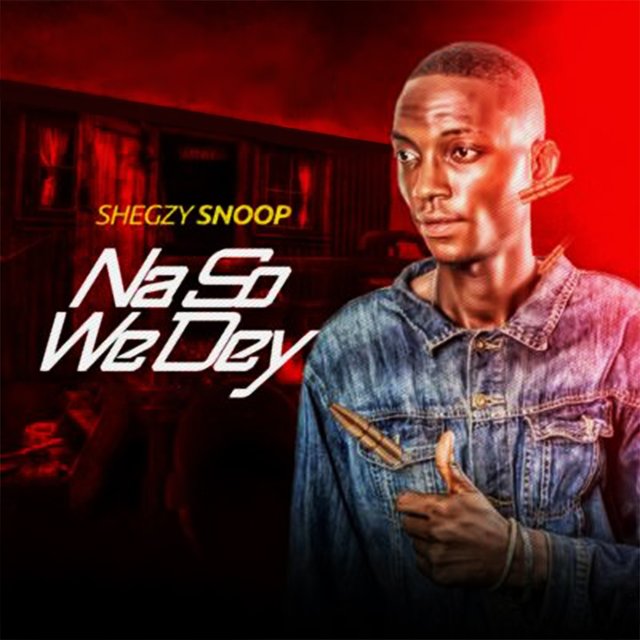 Na So We Dey by Shegy Snoop on TIDAL