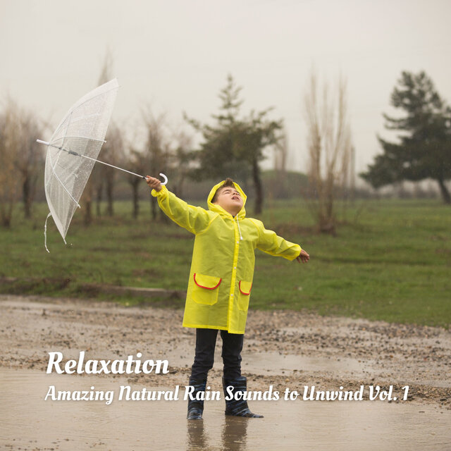 Relaxation: Amazing Natural Rain Sounds to Unwind Vol. 1 by Nature ...