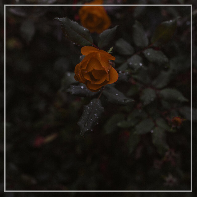 as you begin to fade by V E N N & Andy Feldman on TIDAL
