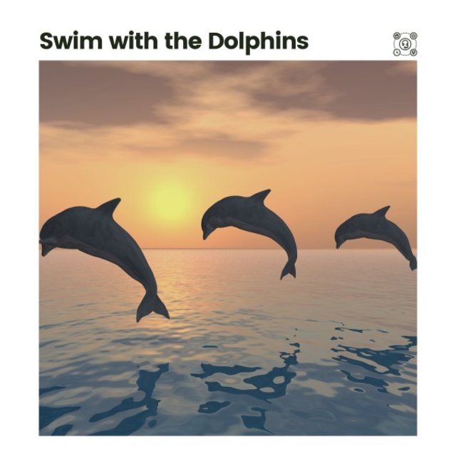 Swim with the Dolphins by Wave Sound Group on TIDAL
