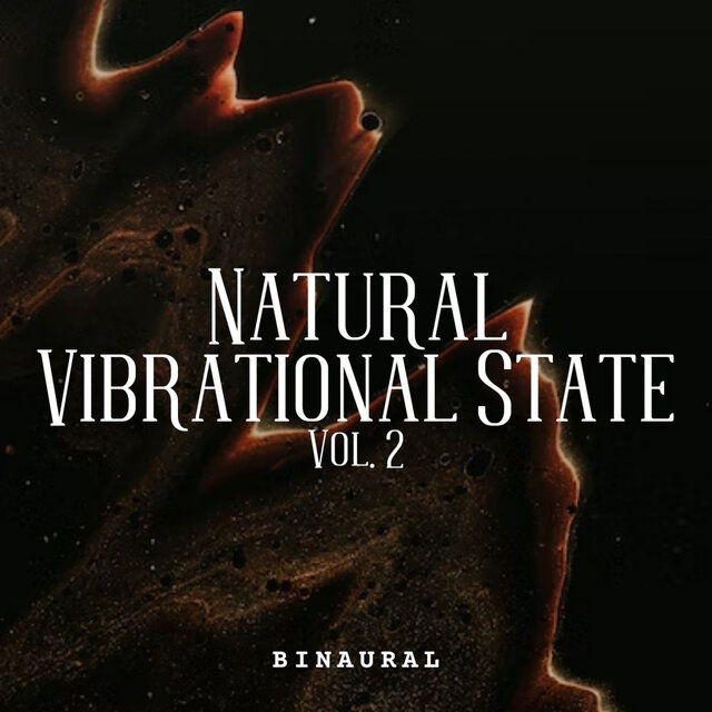 Binaural: Natural Vibrational State Vol. 2 by Hi-Def FX on TIDAL