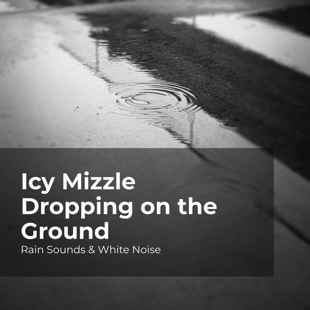 Icy Mizzle Dropping on the Ground by Rain Sounds & White Noise on TIDAL