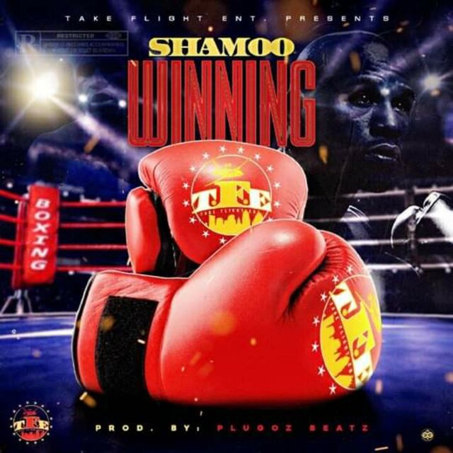 Winning by Shamoo on TIDAL