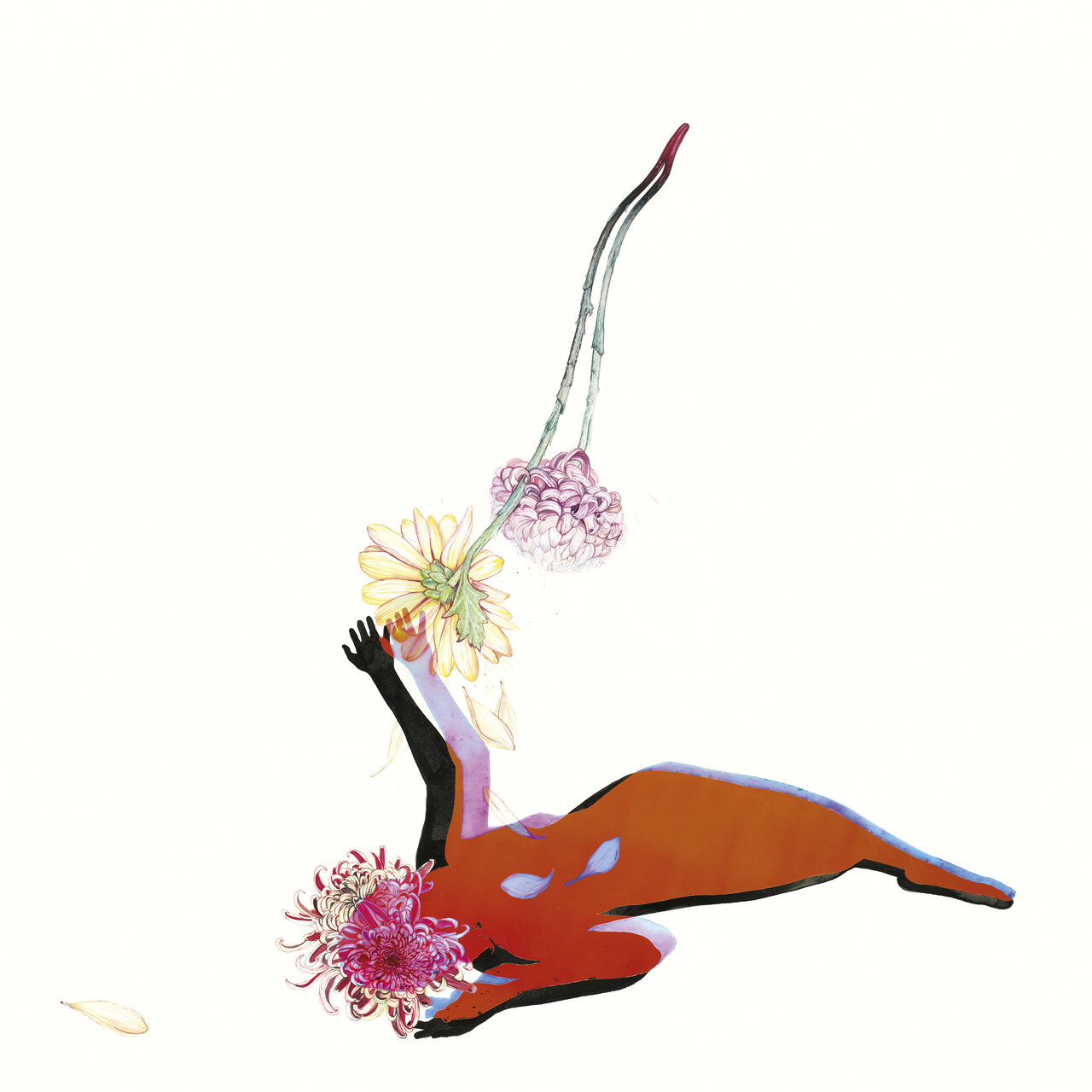 The Far Field by Future Islands on TIDAL