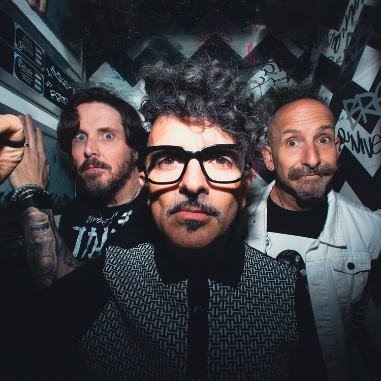 The Baby Goats on TIDAL