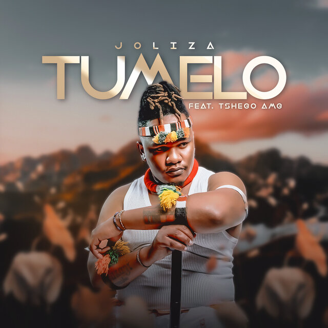 Tumelo by Joliza & Tshego AMG on TIDAL