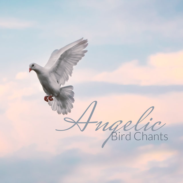 Angelic Bird Chants – Nature Sounds, Relaxation, Birds Singing by ...