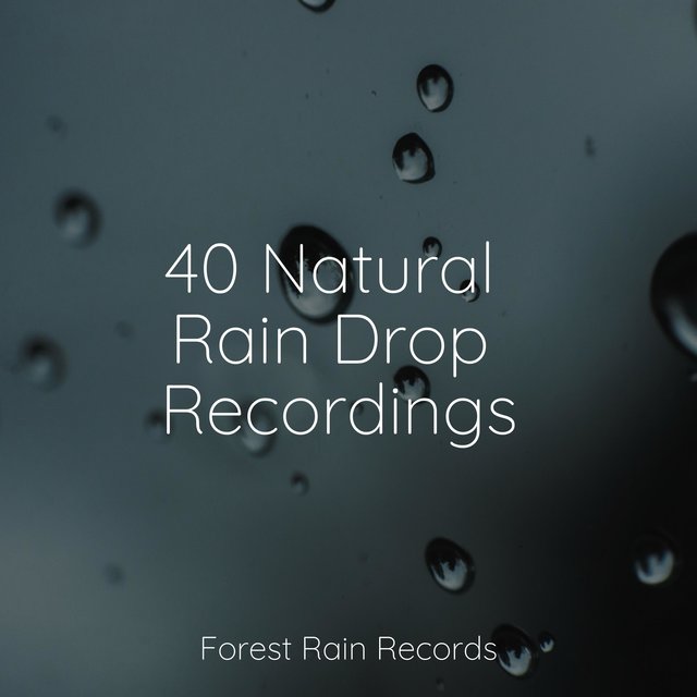40 Natural Rain Drop Recordings by sounds of nature on TIDAL