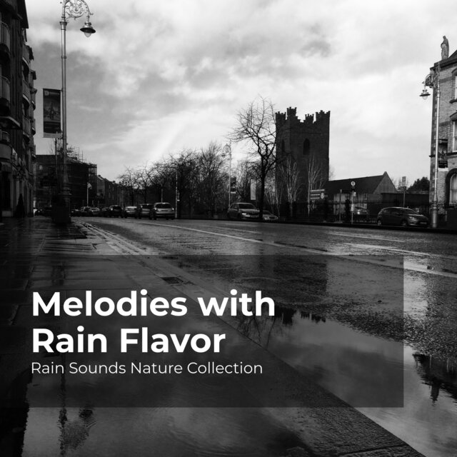 Melodies With Rain Flavor By Rain Sounds Nature Collection On Tidal