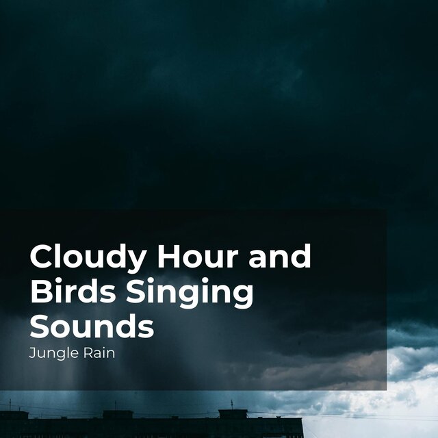 Cloudy Hour and Birds Singing Sounds by Jungle Rain on TIDAL