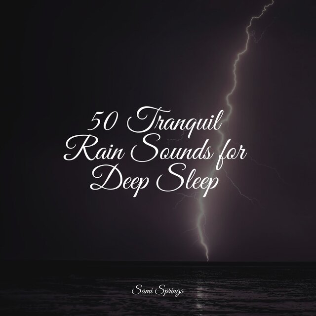 50 Tranquil Rain Sounds for Deep Sleep by Sounds of Nature White Noise ...