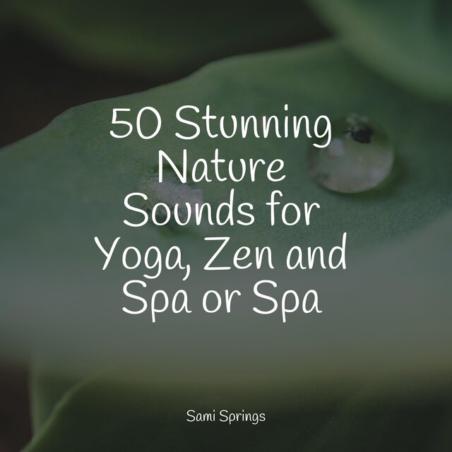 50 Stunning Nature Sounds for Yoga, Zen and Spa or Spa by Rain Sounds ...
