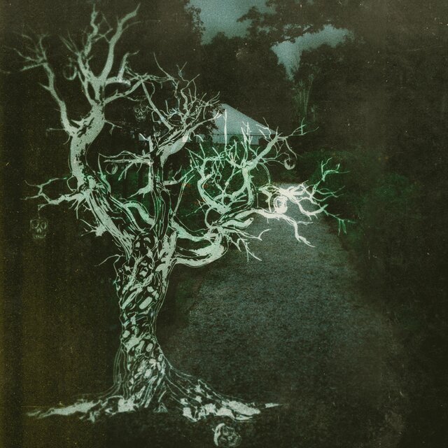 Blink by Pity Laugh on TIDAL