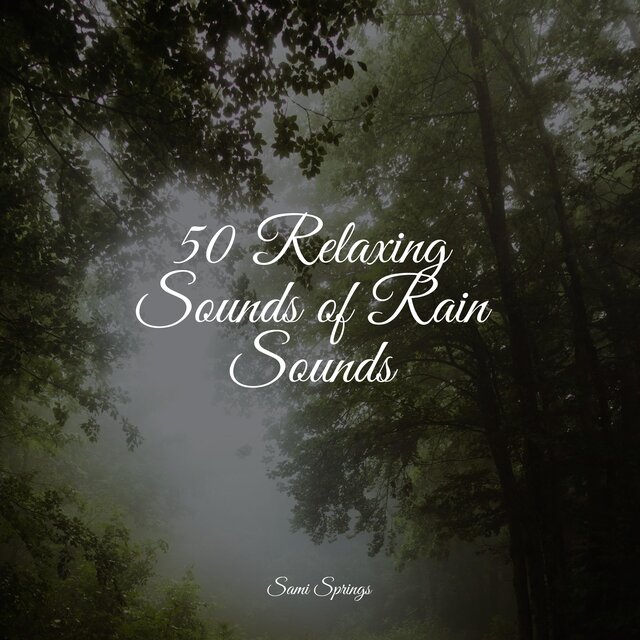 50 Relaxing Sounds of Rain Sounds by Namaste Healing Yoga on TIDAL