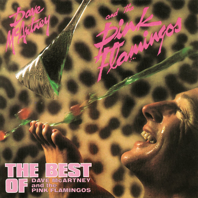 The Best of Dave McArtney and The Pink Flamingos by Dave McArtney and ...
