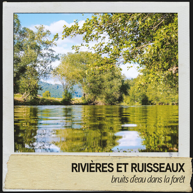 Rivières et ruisseaux : bruits d'eau dans la forêt by La nature on TIDAL