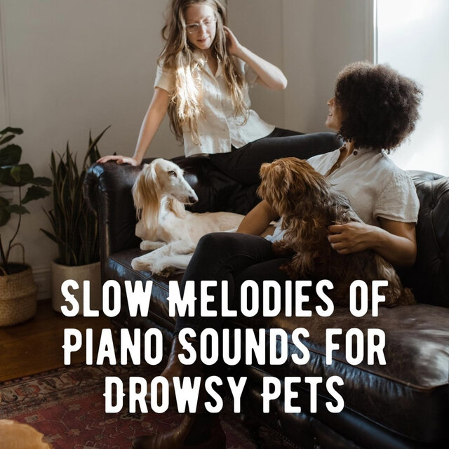 Slow Melodies of Piano Sounds for Drowsy Pets by Piano on TIDAL