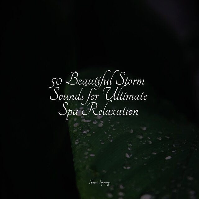 50 Perfect Rain Sounds for Meditation by SleepTherapy on TIDAL