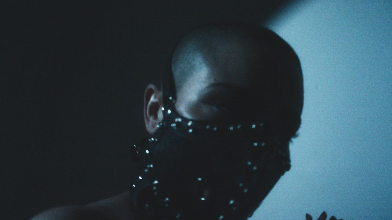 O Ano do Cão by Gus Lanzetta on TIDAL