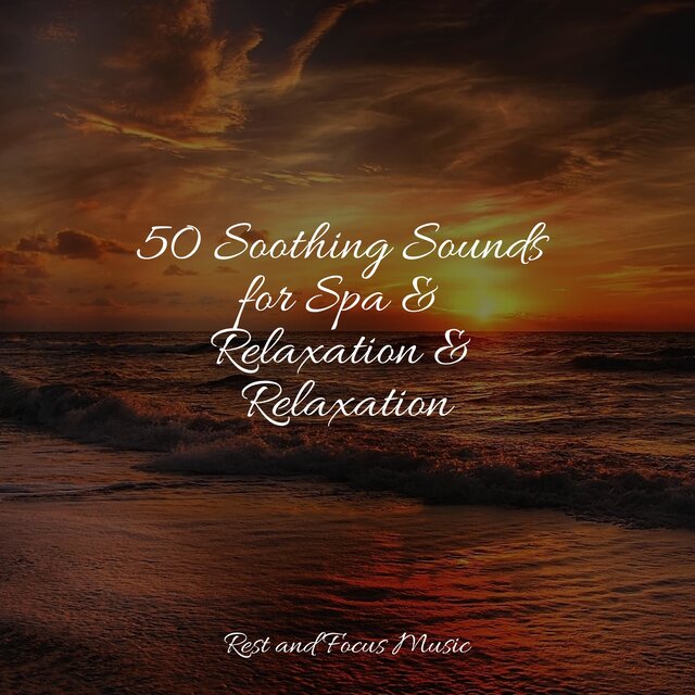 50 Soothing Sounds for Spa & Relaxation & Relaxation by Meditation Zen ...