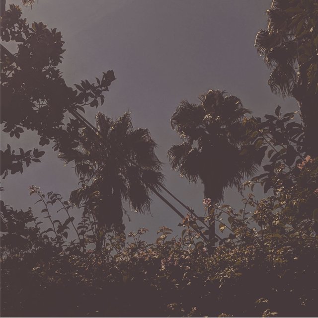 HUE HEFFNER by spookyskatan447 on TIDAL