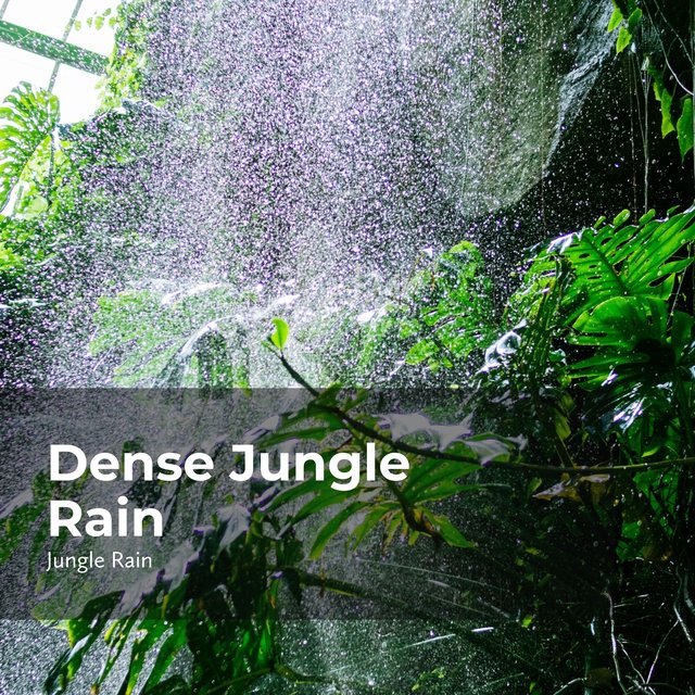 Dense Jungle Rain by Jungle Rain on TIDAL