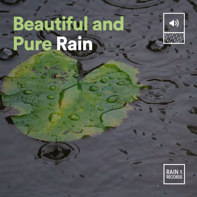 Beautiful and Pure Rain by 24H Rain Sounds on TIDAL