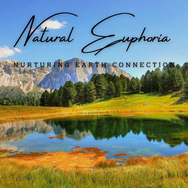 Natural Euphoria: Meditative Nature Music by Zen Natural Sounds ...