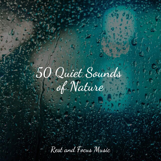50 Quiet Sounds of Nature by Happy Baby Lullaby Collection on TIDAL
