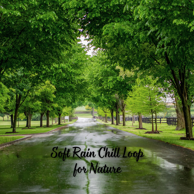Soft Rain Chill Loop for Nature by Rain Games on TIDAL