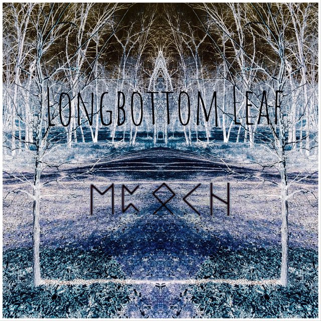 Epoch by Longbottom Leaf on TIDAL