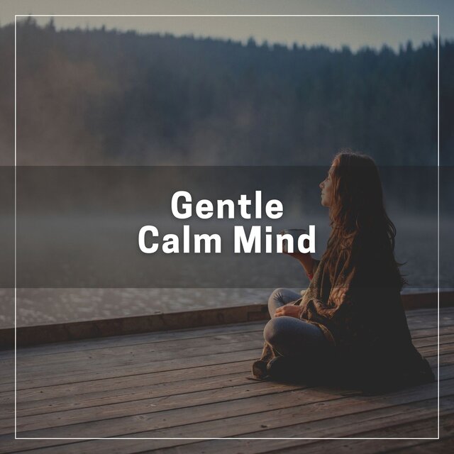 Gentle Calm Mind, Pt. 20 by Meditation Zen on TIDAL