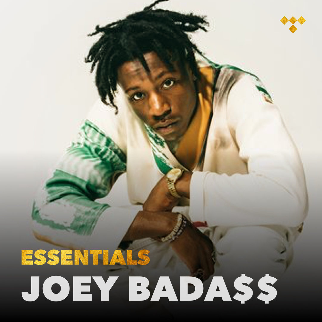 Joey Bada$$ 95 Til Infinity Album