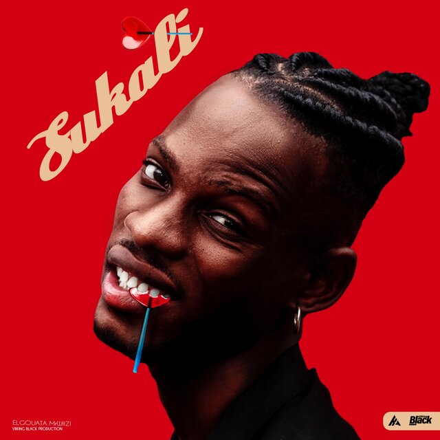 Sukali by Elgouata Mr Wiizi on TIDAL