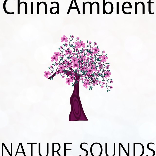 China Ambient: Nature Sounds by Various Artists on TIDAL