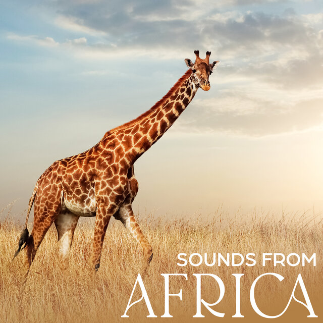 Sounds From Africa: Traditional, Tribal, Indigenous Musical ...