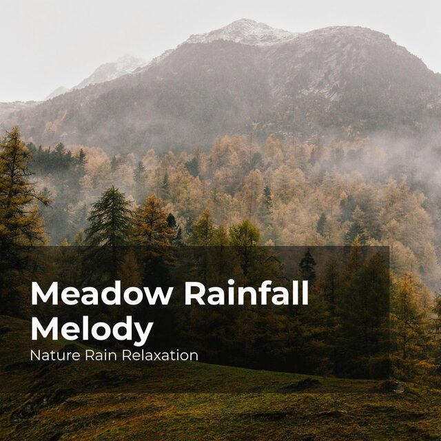 Meadow Rainfall Melody by Nature Rain Relaxation on TIDAL