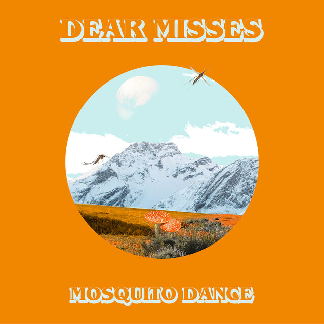 Mosquito Dance by Dear Misses on TIDAL