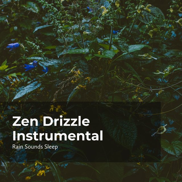 Zen Drizzle Instrumental by Rain Sounds Sleep on TIDAL
