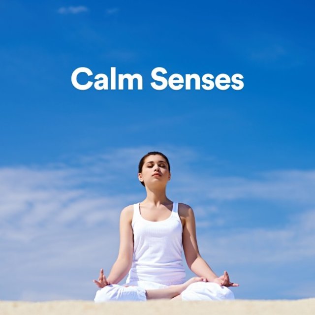 Calm Senses by Calm Piano on TIDAL