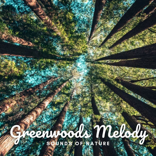 Sounds of Nature: Greenwoods Melody by Outdoor Field Recorders on TIDAL