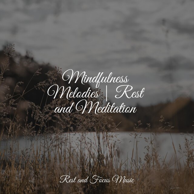 Mindfulness Melodies | Rest and Meditation by Sounds of Nature White ...