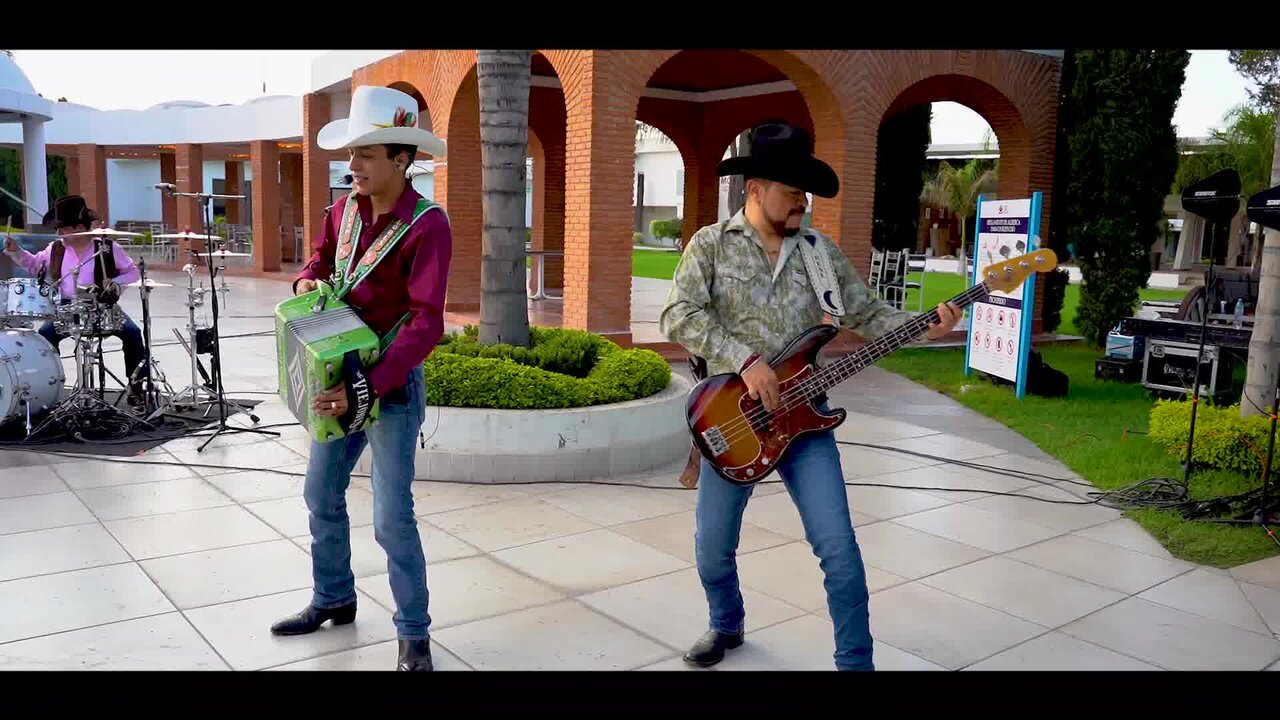 Al Puro Llavazo by Los Viejones de Linares on TIDAL