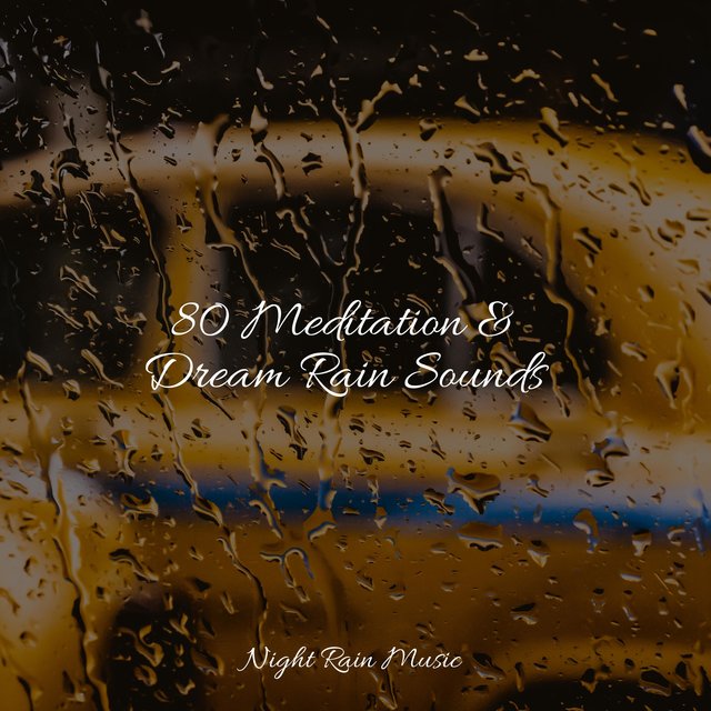 80 Meditation & Dream Rain Sounds by Academia de Meditação Buddha on TIDAL