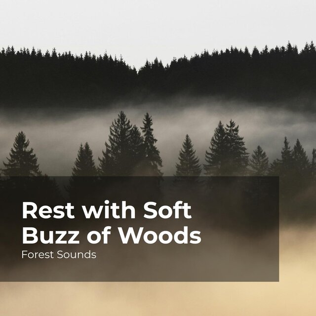 Rest with Soft Buzz of Woods by Forest Sounds on TIDAL