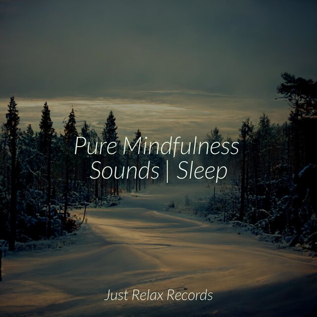 Pure Mindfulness Sounds | Sleep by Baby Lullaby, Soothing Sounds & Kinderliederbande on TIDAL