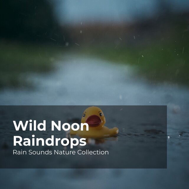 Wild Noon Raindrops by Rain Sounds Nature Collection on TIDAL