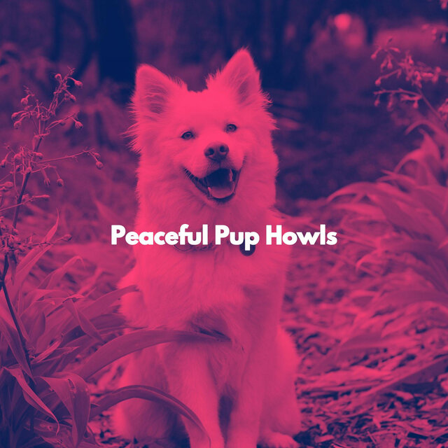 Peaceful Pup Howls by Dog Sleeping Soundtracks Deluxe on TIDAL
