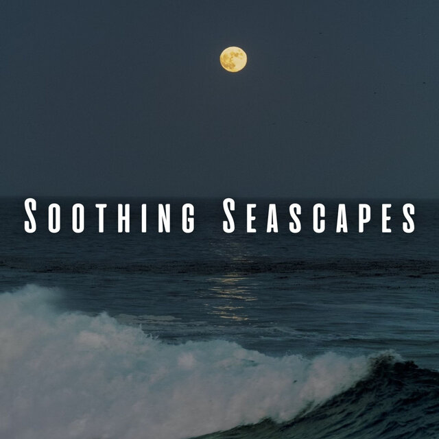 Soothing Seascapes: Ocean and Seagulls for Restful Sleep by Soothing ...