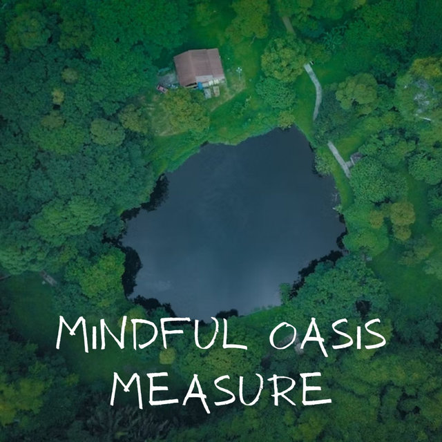 Mindful Oasis Measure by Sleep Sounds of Nature on TIDAL